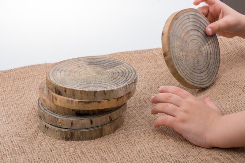 Wood Logs Cut in Round Thin Pieces Stock Image - Image of environment ...