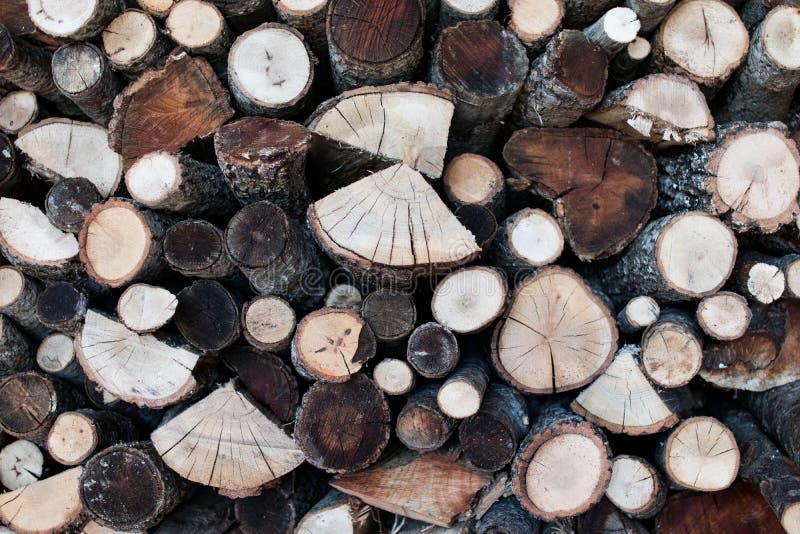 Wood Logs Cut with the Visible Grain. Wood for Winter with Different ...
