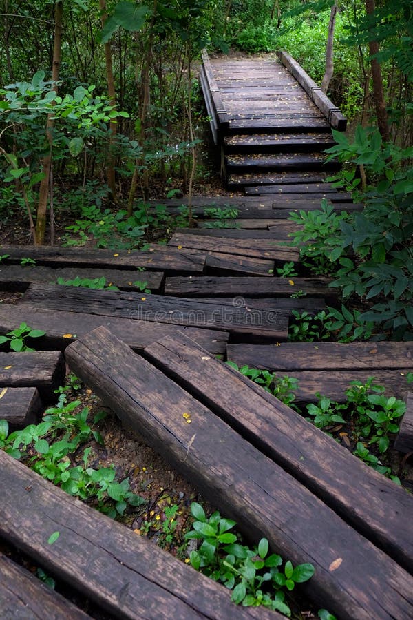 Wood Logs Pathway To the Bridge Stock Photo - Image of travel, fountain ...