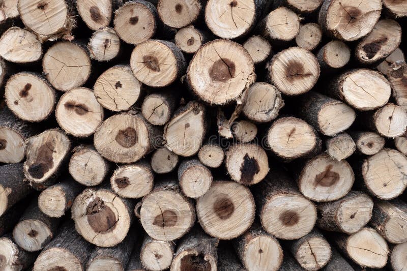 Wood Logs Pattern for the Nature Background. Stock Image - Image of ...