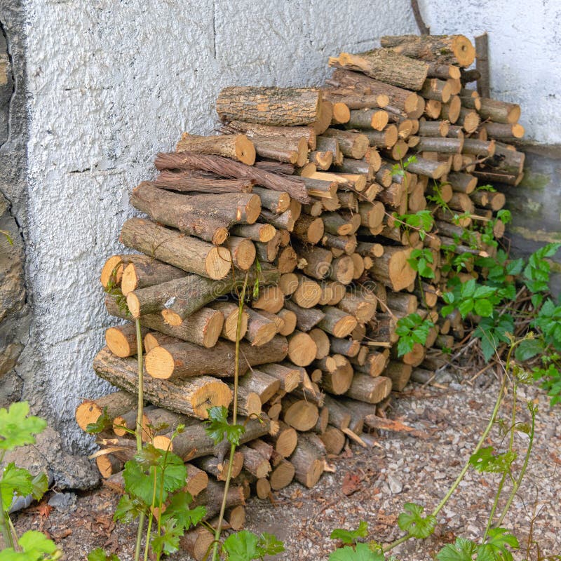 Wood Logs Stack stock image. Image of heat, 2022, wooden - 251417199