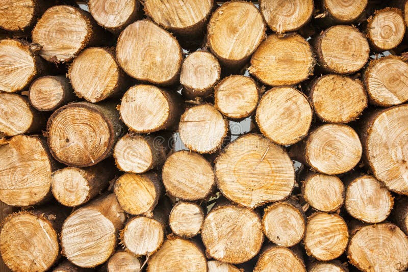 Wood logs stock image. Image of forest, rough, abstract - 54794229