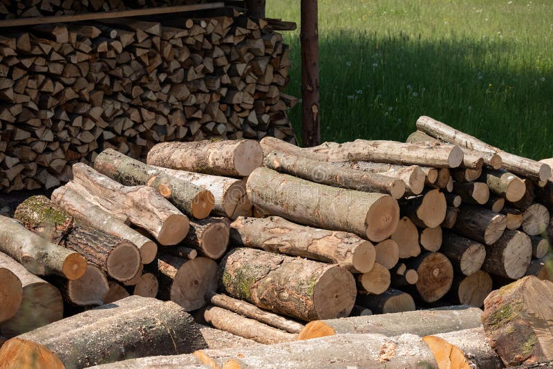 Wood Logs Storage for Firewood Stock Photo - Image of lumber, wooden ...