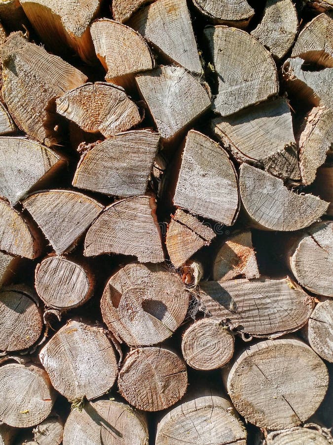 Wood logs texture stock image. Image of lumber, brown - 79478279