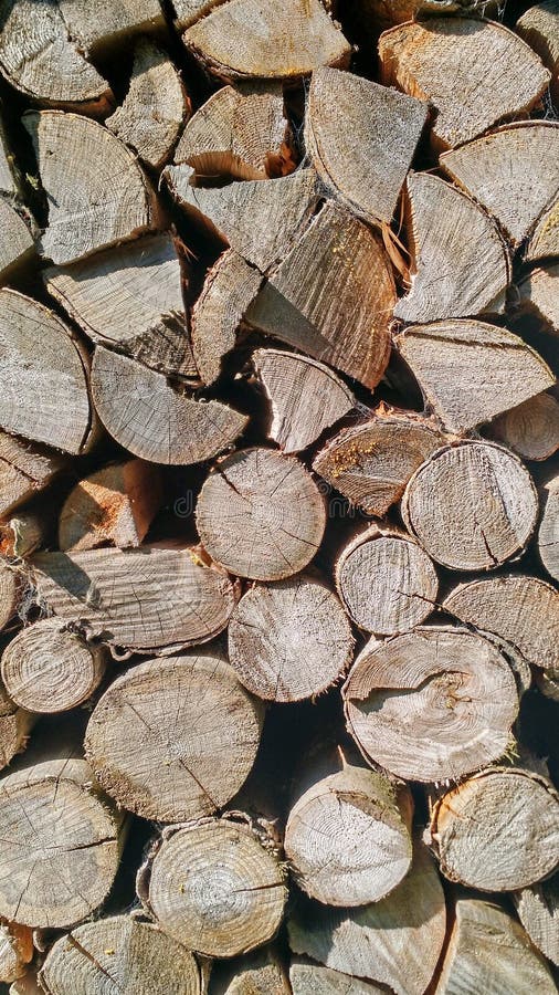 Wood logs texture stock image. Image of fuel, creating - 79479425