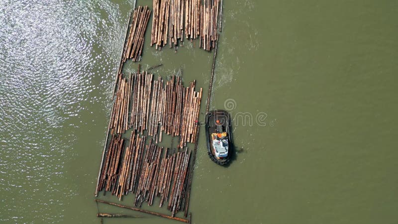 Wood Logs from the Timber Industry Floating Down a River in Vancouver ...
