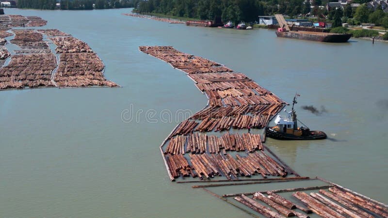 Wood Logs from the Timber Industry Floating Down a River in Vancouver ...