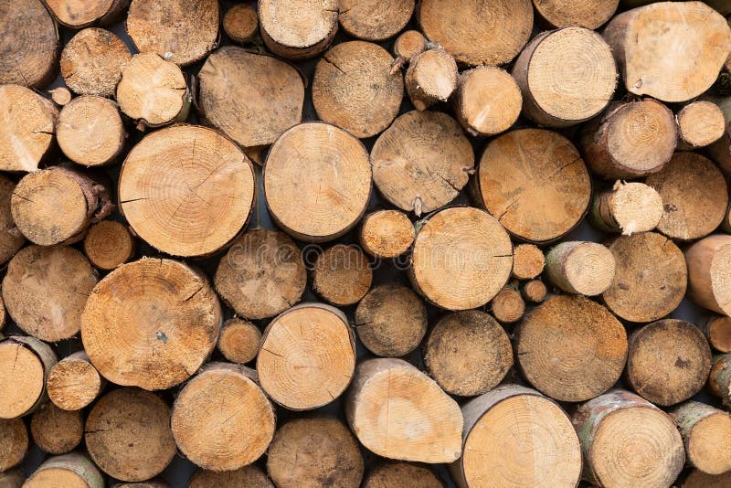 Wood logs stock image. Image of tree, firewood, slice - 79813949