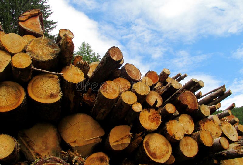Wood logs stock image. Image of brown, macro, aging, design - 76811873