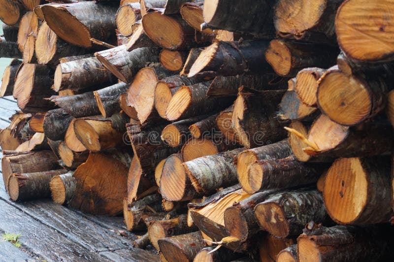 Wood, Lumber, Tree, Wood Chopping Picture. Image: 134105213