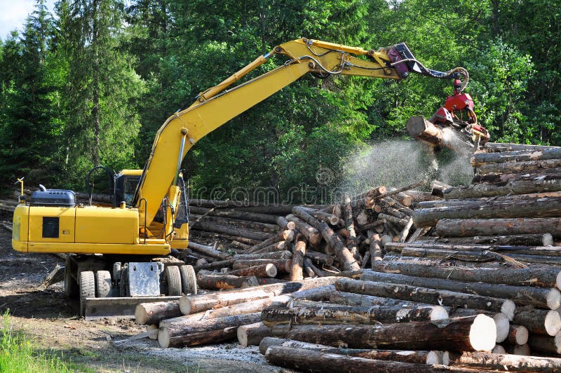 Wood logging logs stock image. Image of wood, wooden - 25946961