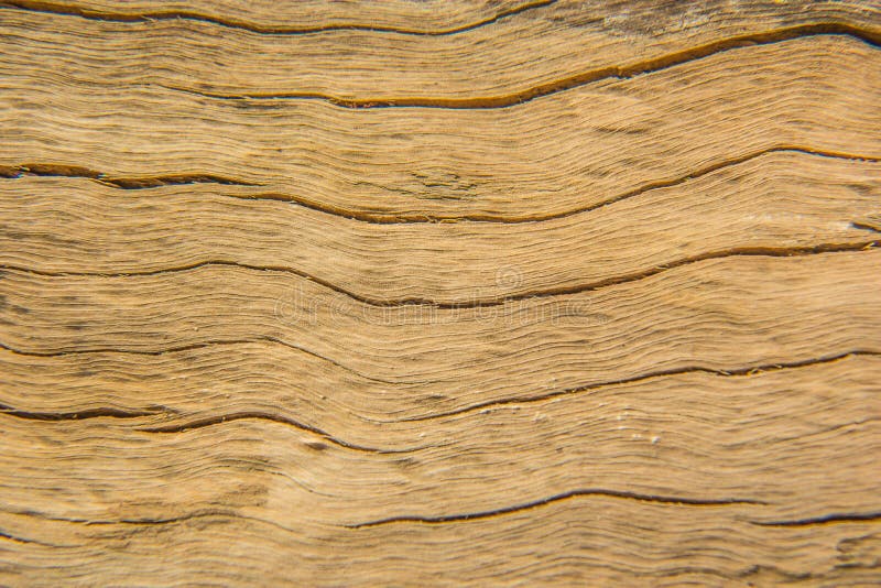 Wood Macro Texture - 4 stock photo. Image of cross, background - 55360828