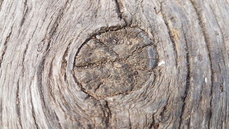 Wood Timber Marcro Texture Pattern Stock Photos - Free & Royalty-Free ...