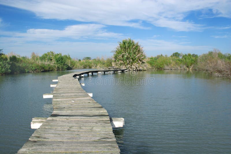 Wood Made Path on the Water Stock Photo - Image of reserve, clear: 3589034