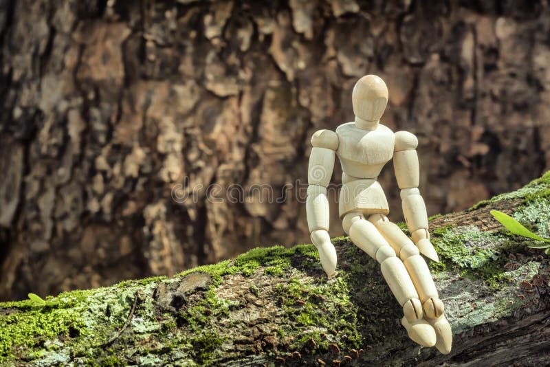 Wood Mannequin Sitting on a Log in Nature. Stock Photo - Image of ...
