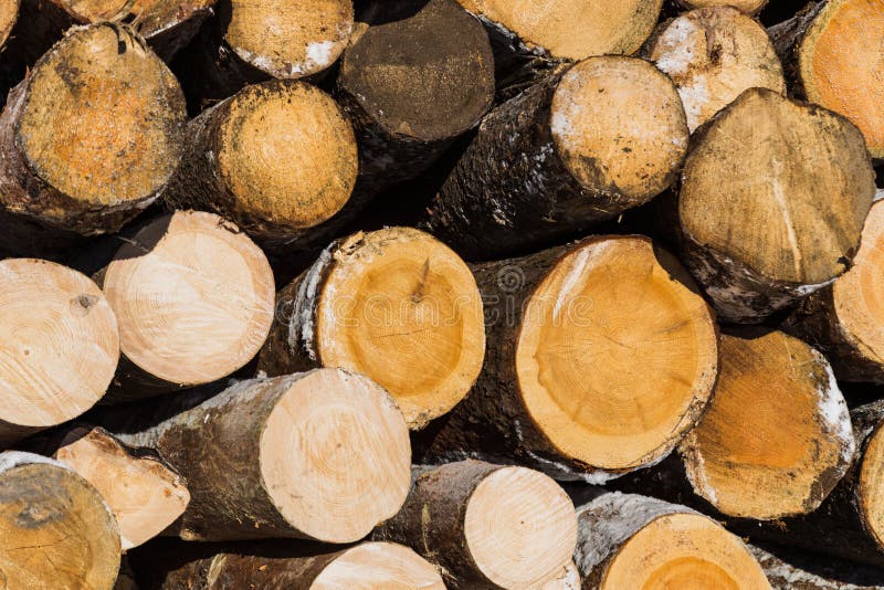 Wood material stock photo. Image of primary, industry - 37379798