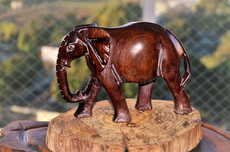 In Wood a Mini Elephas Maximus Editorial Photography - Image of balcony ...