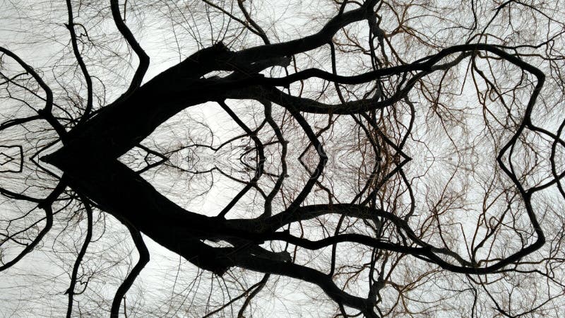 Wood stock illustration. Illustration of trees, effect - 87544256