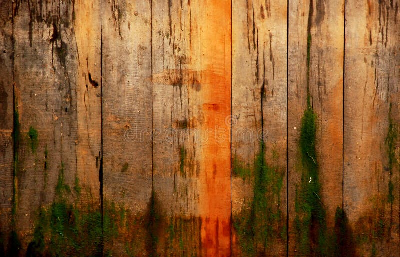Wood with moss stock image. Image of background, plate - 6121827