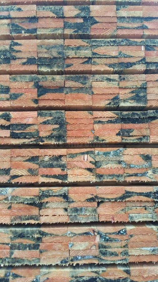 Wood stock photo. Image of green, wood, timber, damp - 62196396