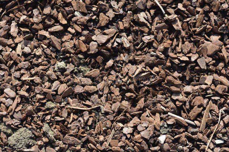 Wood Mulch stock image. Image of mulch, natural, background - 272778471