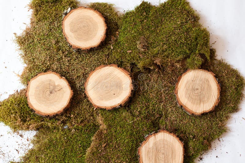 Wood and musk background stock image. Image of yellow - 79201665