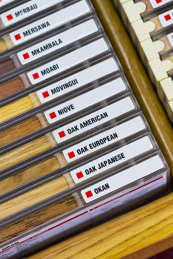 Wood names and sample stock photo. Image of name, structure - 41867772