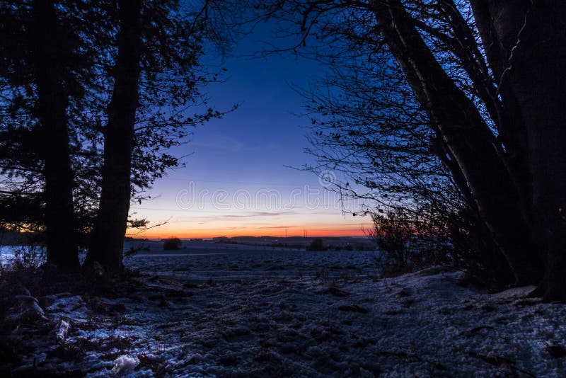 Wood at Night stock photo. Image of misterious, woods - 49887254