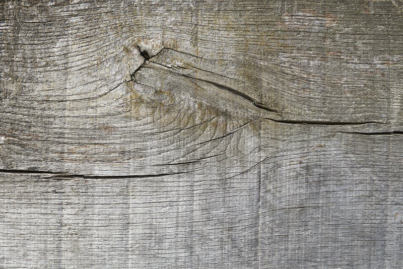 Wood and Node Texture Background Stock Image - Image of texture, brown ...