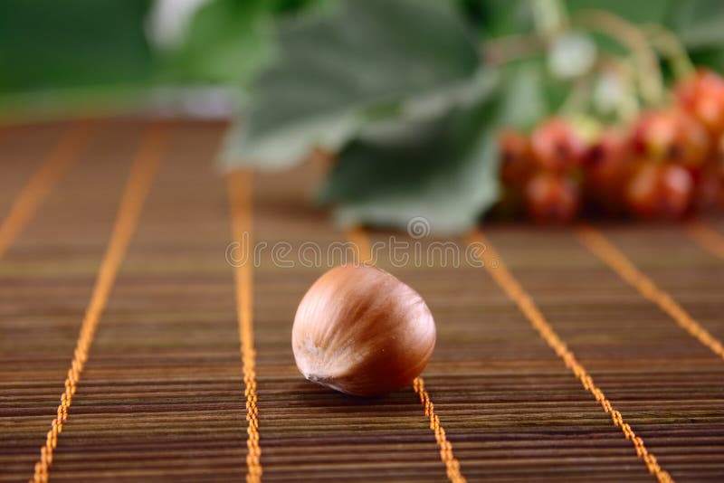 Wood nut stock image. Image of food, napkin, lifestyle - 11920789