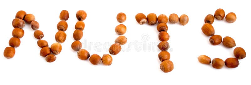 Wood nut stock photo. Image of ingredient, hazelnut, nucleus - 14762556
