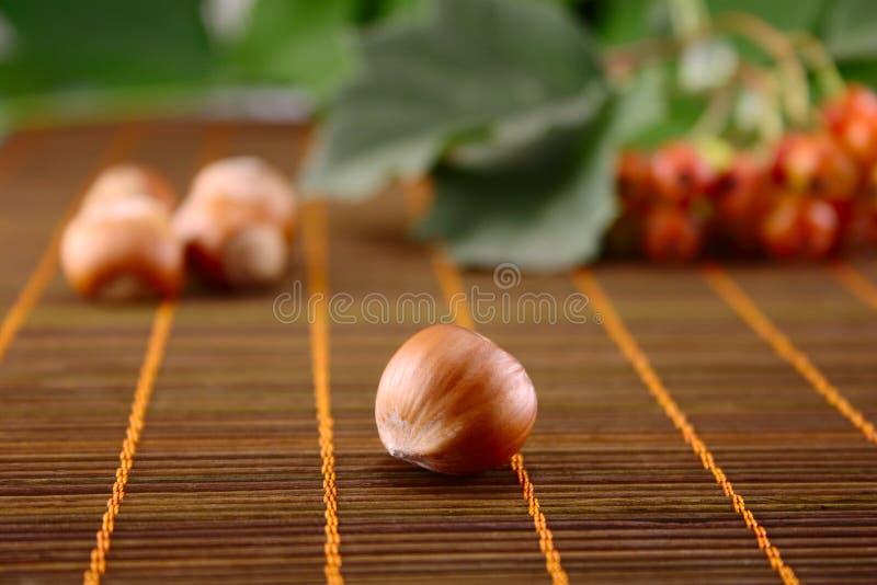 Wood nut on bamboo napkin stock image. Image of healthy - 10728261