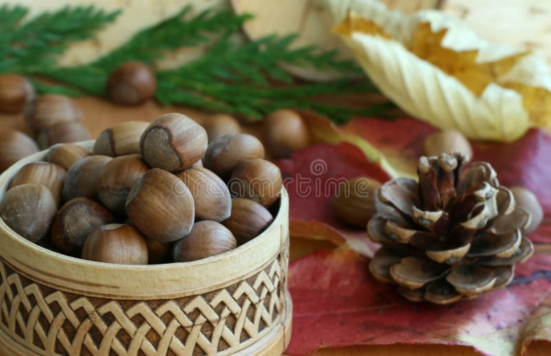 Wood Nuts and Autumn Leaves Stock Image - Image of season, brown: 6991057