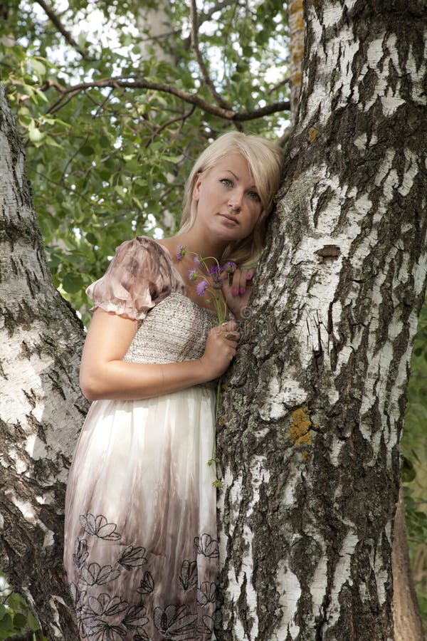 The wood nymph stock photo. Image of floral, branch, naive - 20625434