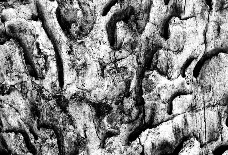 Indent Shapes Stock Photos - Free & Royalty-Free Stock Photos from ...