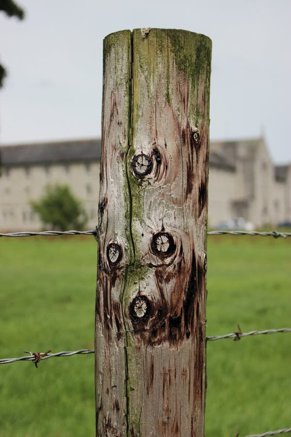 Wood stock image. Image of macro, pail, wood, fence, closeup - 98445407