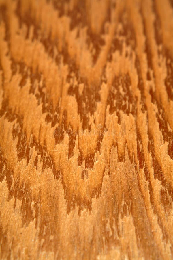 Wood panel stock image. Image of timber, rustic, wooden - 6682545