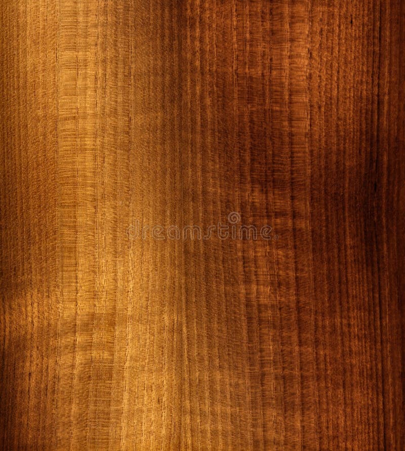 Wood panel stock photo. Image of board, flooring, pattern - 9999606