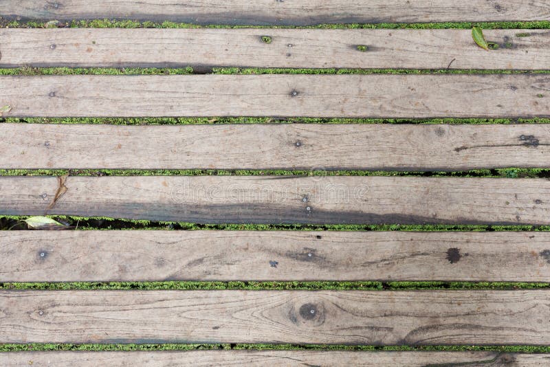 Wood panel floor texture stock image. Image of material - 46822545