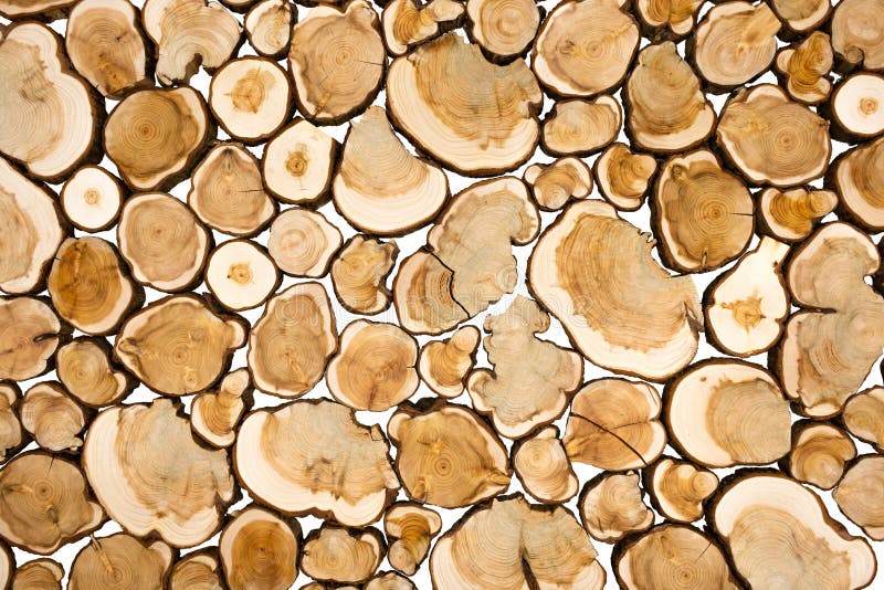 Wood Panel from Sections of a Trunk of a Juniper Tree. Natural ...