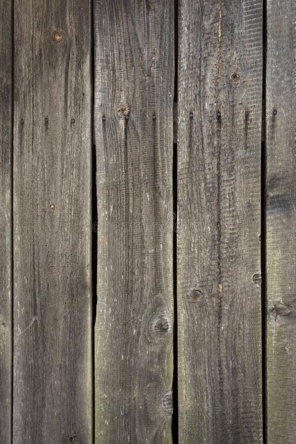 Wood paneling stock photo. Image of desk, nails, grain - 50554840