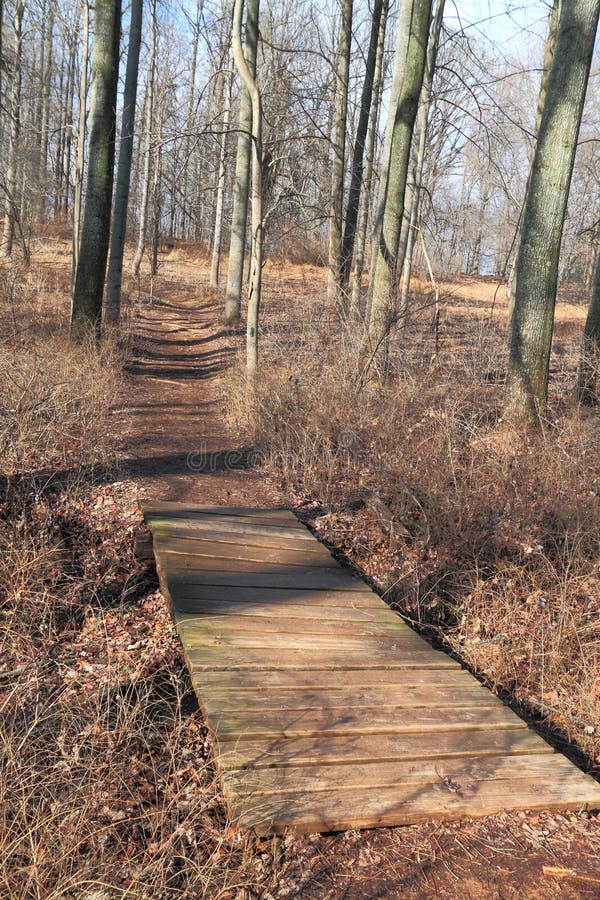 Park Trail with Bridge stock image. Image of walkway - 36675333