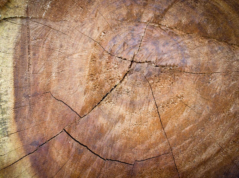 Coaxial Ancient Stock Photos - Free & Royalty-Free Stock Photos from ...