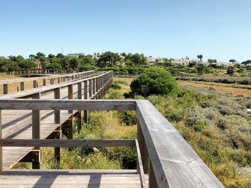 Wood Passage Way by the Nature Stock Image - Image of wood, nature ...