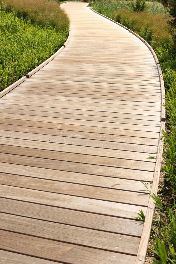 Wood path stock photo. Image of fresh, green, freedom - 7102502