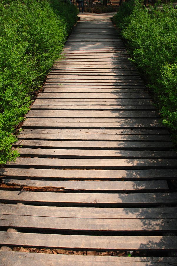 The wood Path in the bush stock image. Image of panel - 4921123