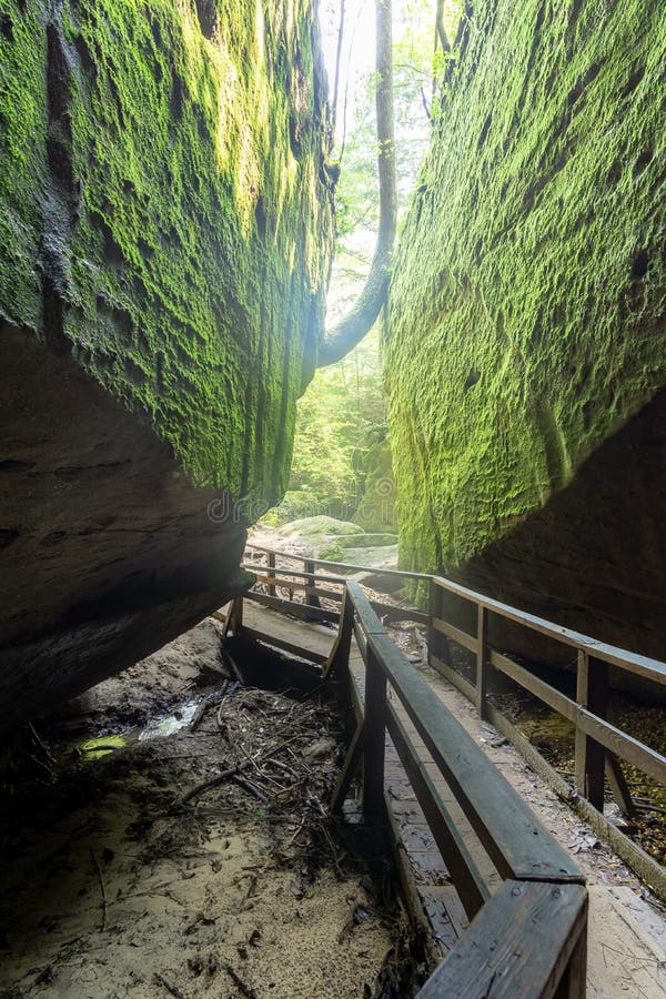 Wood Path through Canyon stock image. Image of canyon - 137266023