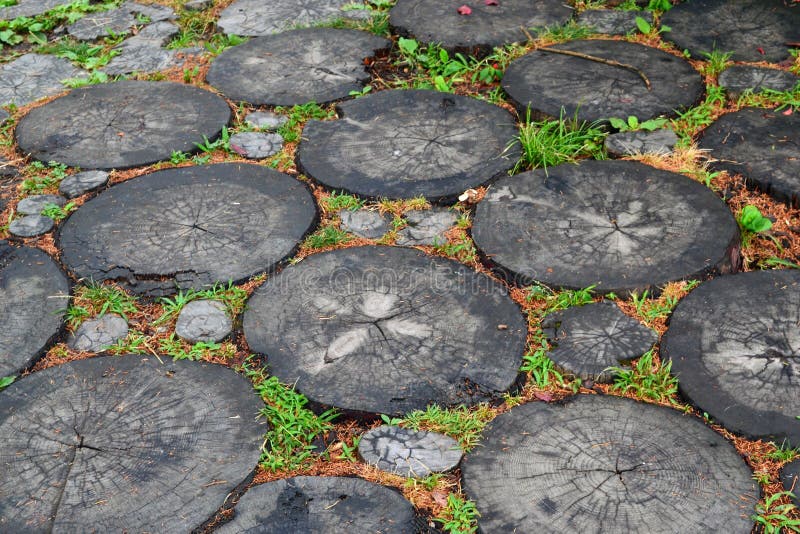 Wood Path Made of Pieces of Wood Stock Image - Image of floor, material ...