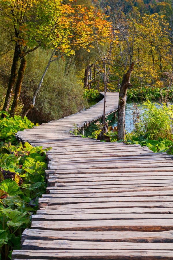 Wood Path in the Plitvice Lake National Park Stock Photo - Image of ...