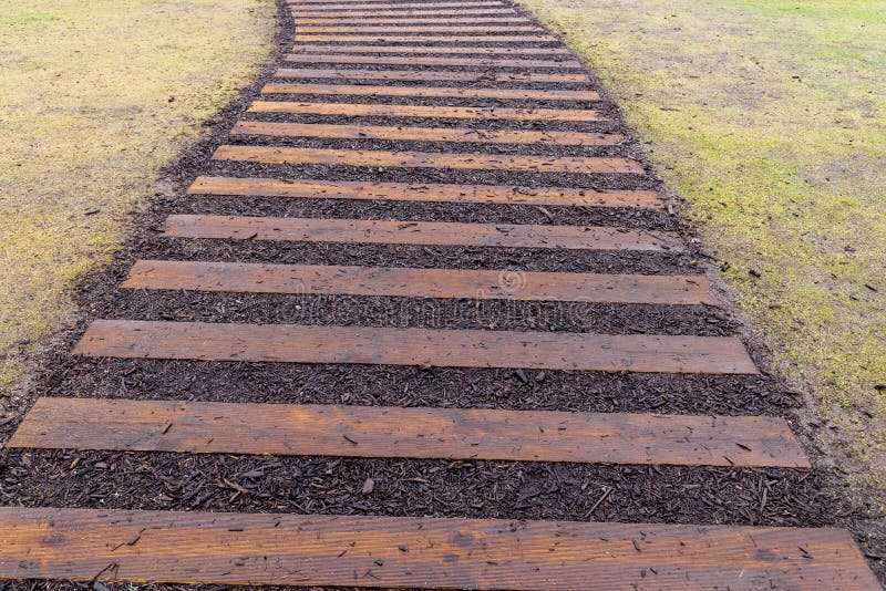 Wood Path Walkway & Green Grass Lawn in Perspective View Stock Image ...